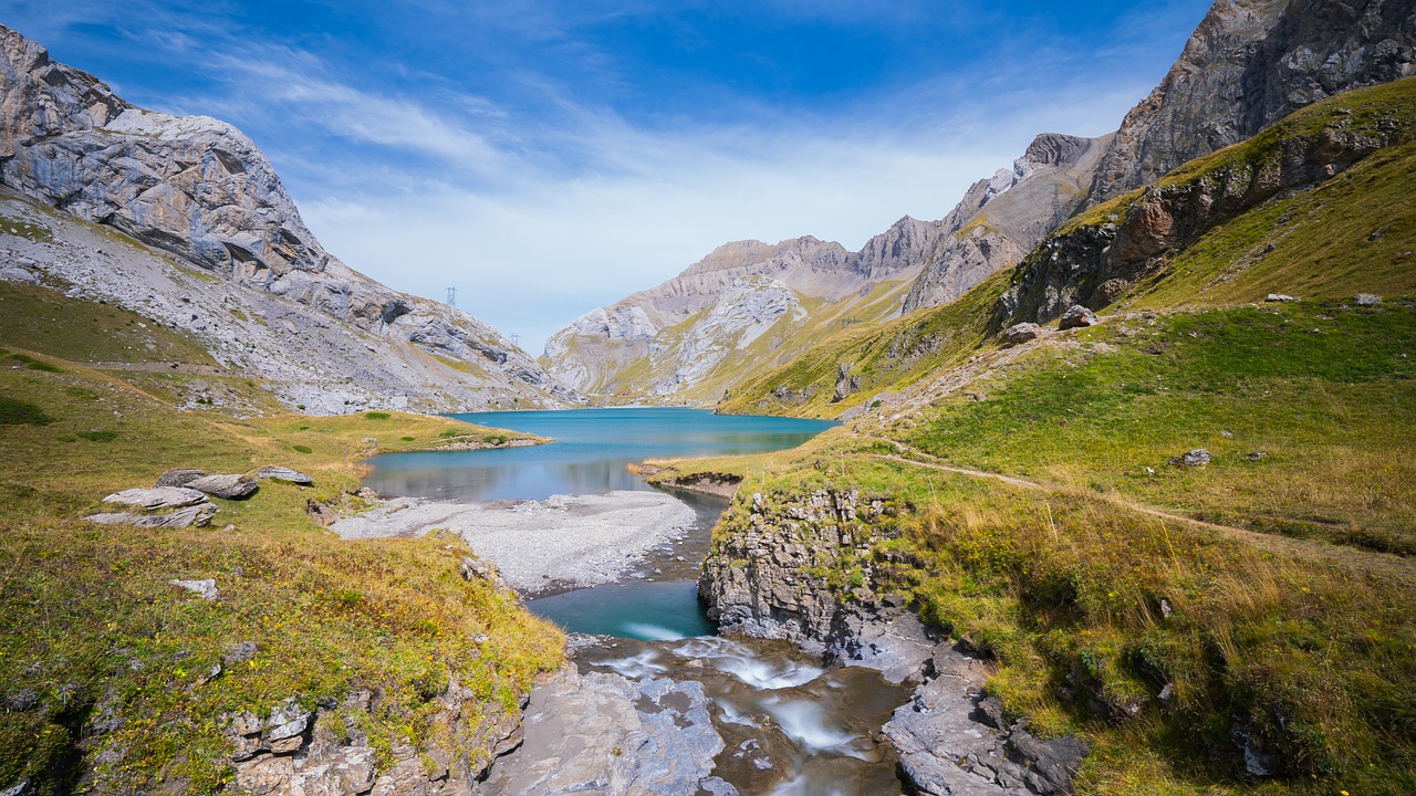 How to modify DaisyUI theme using CDN | ReactHustle